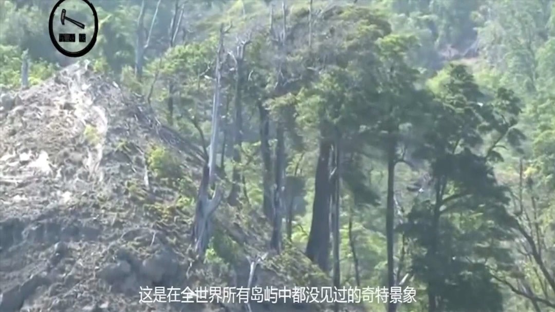 最神奇的小岛,跟着地球转,一分钟自转一周,科学家都解释不了