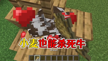 我的世界:全自动甘蔗收割机,不用动手,轻松收获一箱子甘蔗!