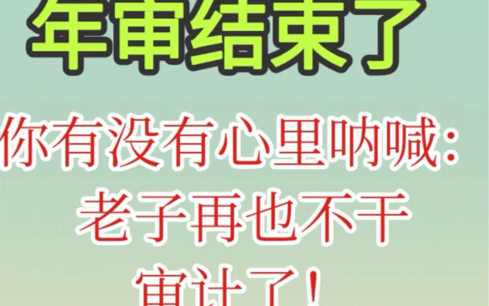 再也不干审计了