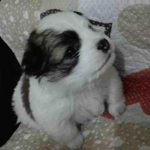 蓝天之下白云飘 