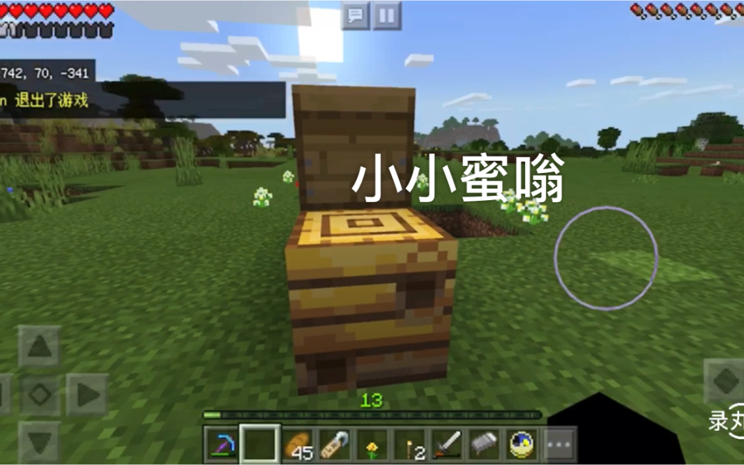 HStaxn我的世界EP4,移动并放置蜂窝