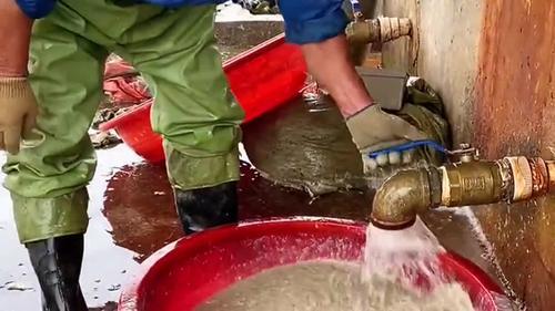 这就是柜台卖的珍珠,经过清洗筛选打磨等系列步骤,才能在柜台上卖