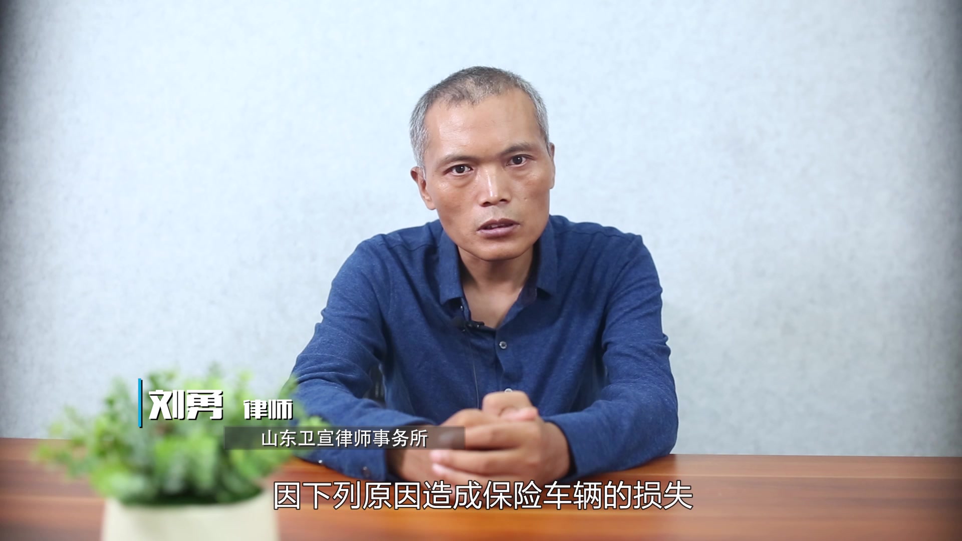 机动车车损险赔偿范围