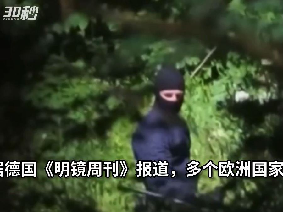 30秒|欧盟国家警察用木棒殴打难民