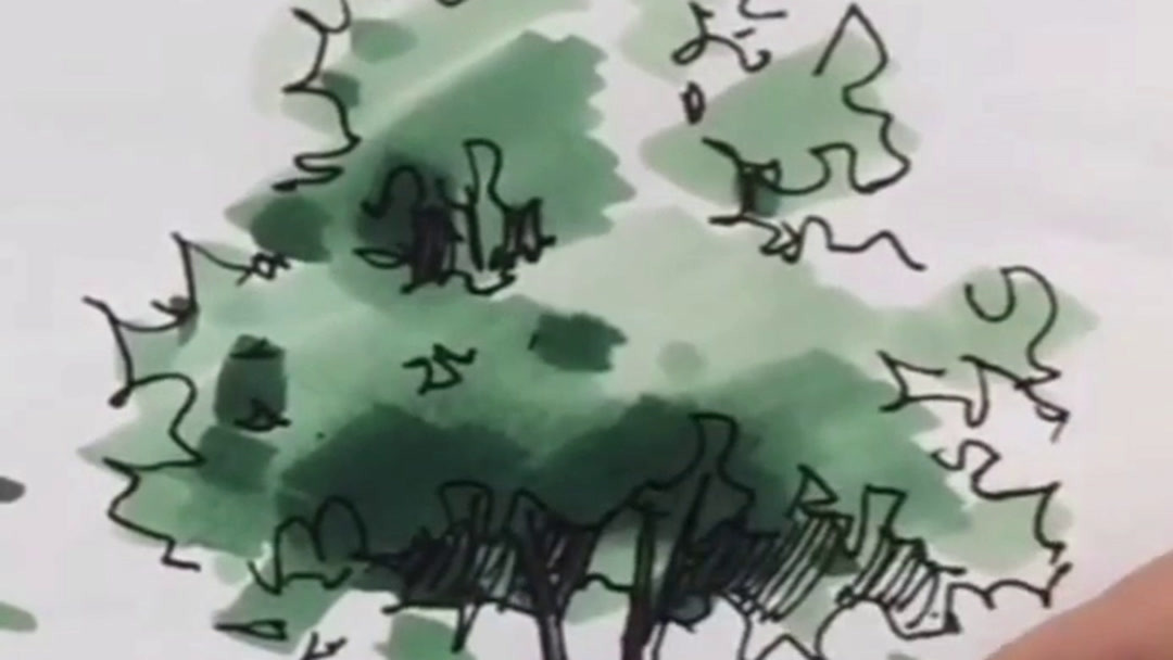 画了一棵树超简单的上色方法你可以一试哦景观设计