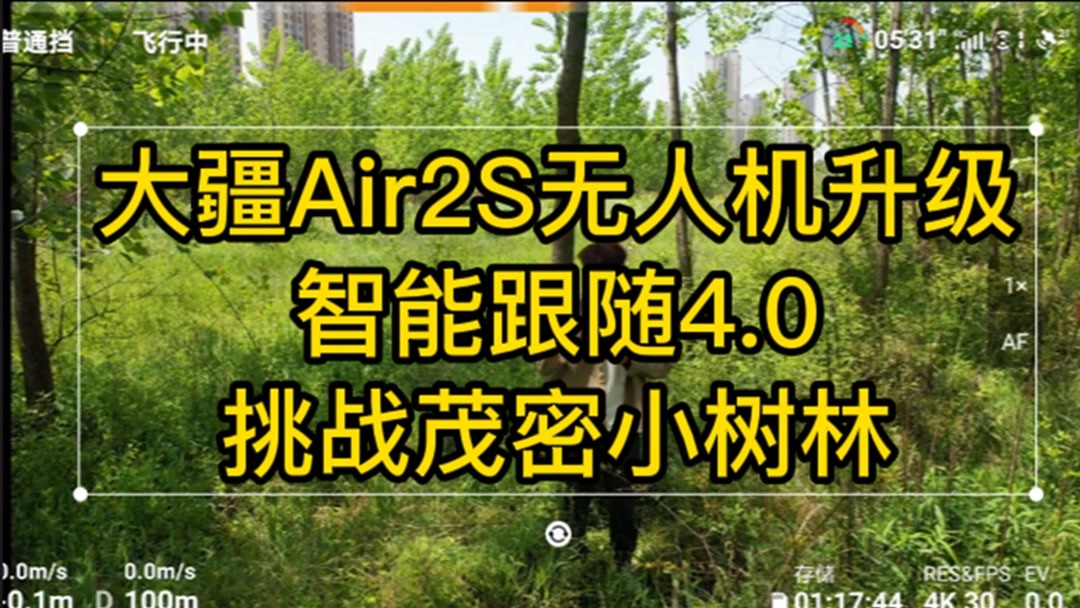 大疆新品Air2S智能跟随4.0挑战茂密小树林