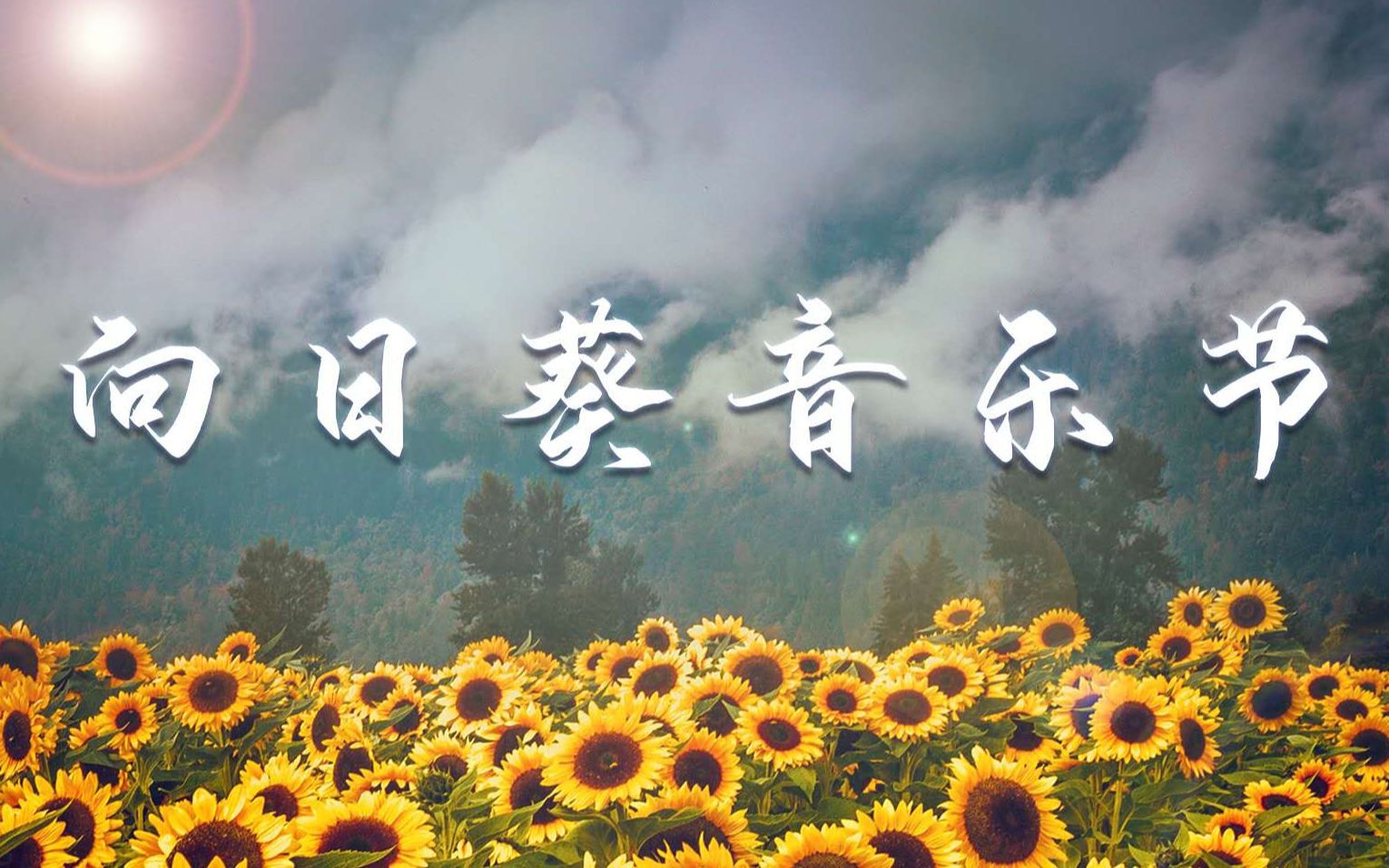 向日葵音乐节——驱散阴霾,迎接阳光