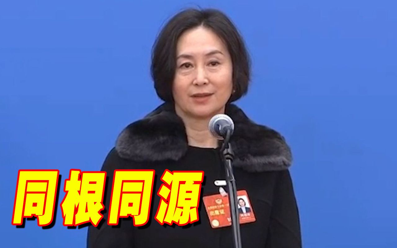 全国政协委员何超琼:有人说我是澳门人、香港人,我说我是大湾区人