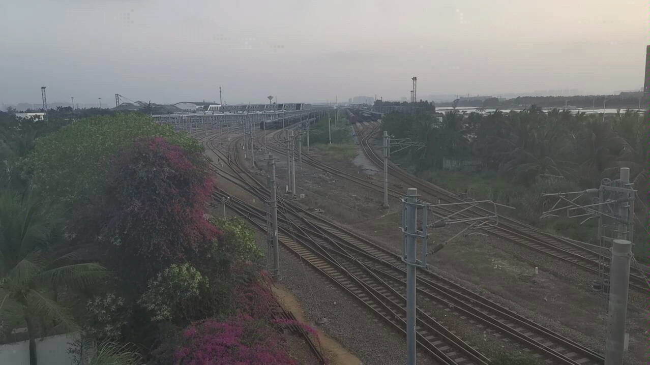 哈海王牌Z112次列车晚点20分钟出海口站