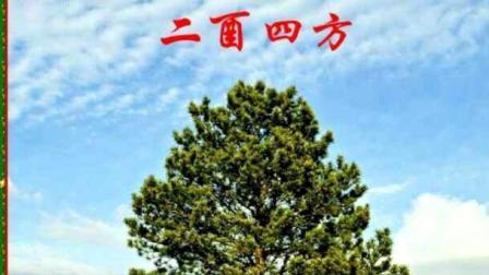 爱剪辑点检报告