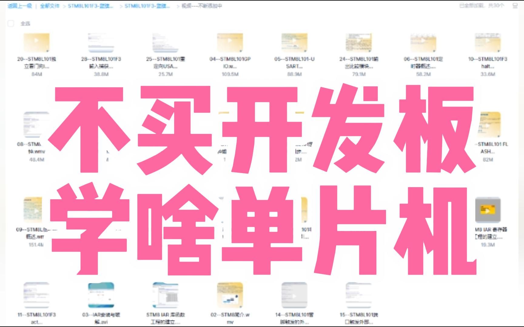 不买开发板,学啥单片机