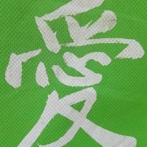 雅姿移门图册配件 