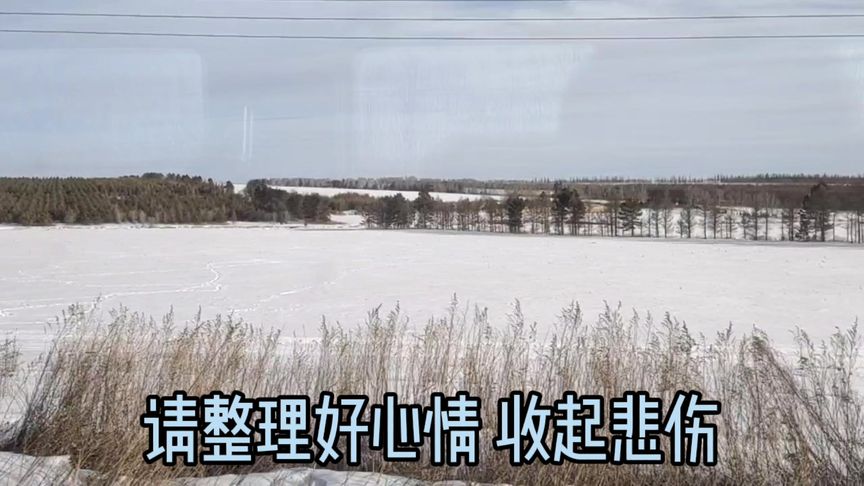 #k2021次列车即将到站 #北国风光 #家乡的雪 #记录家乡美景