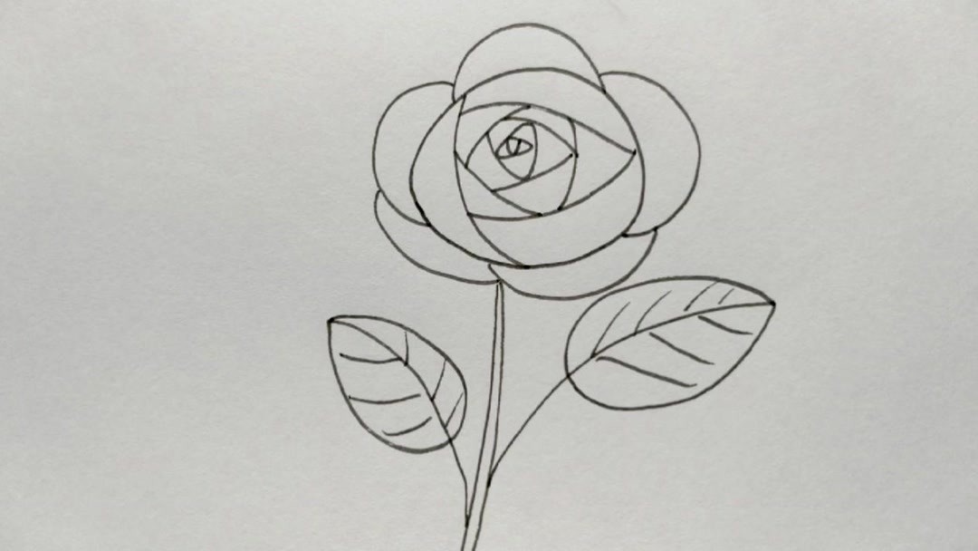 简单易学的花朵简笔画