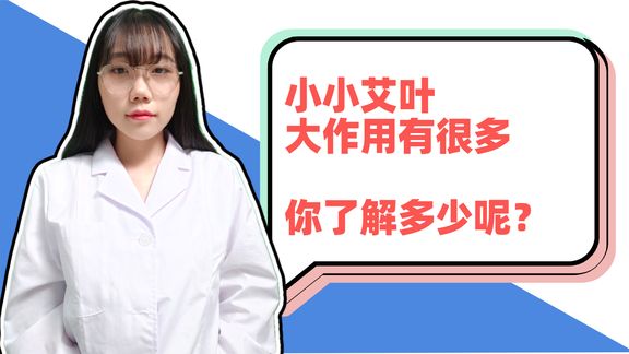 小小艾叶 大作用有很多,你了解多少呢?