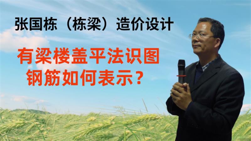 张国栋(栋梁)造价设计:有梁楼盖平法识图钢筋如何表示?