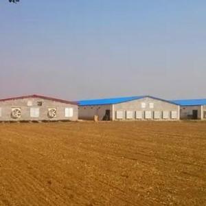 保温畜禽舍养殖棚建造 