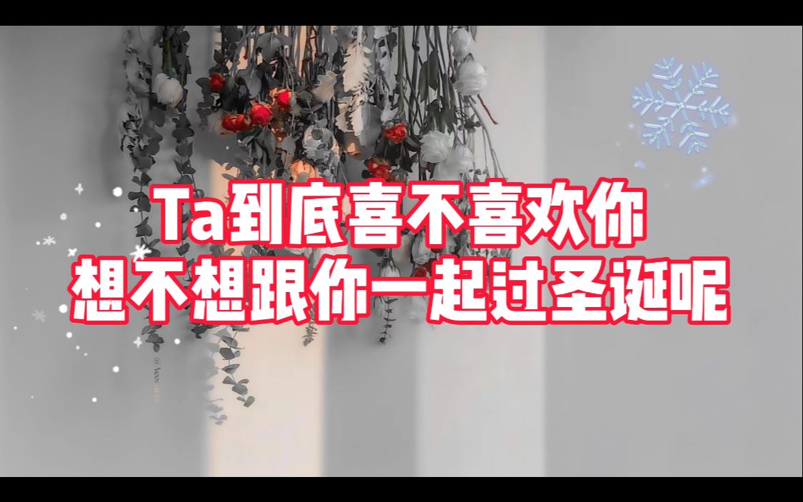 【Anastasia塔罗】Ta到底喜不喜欢你,想不想跟你一起过圣诞呢?(单恋/...