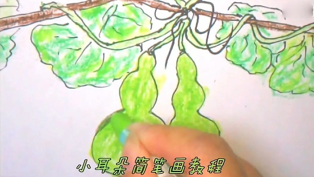 简笔画 葫芦瓜
