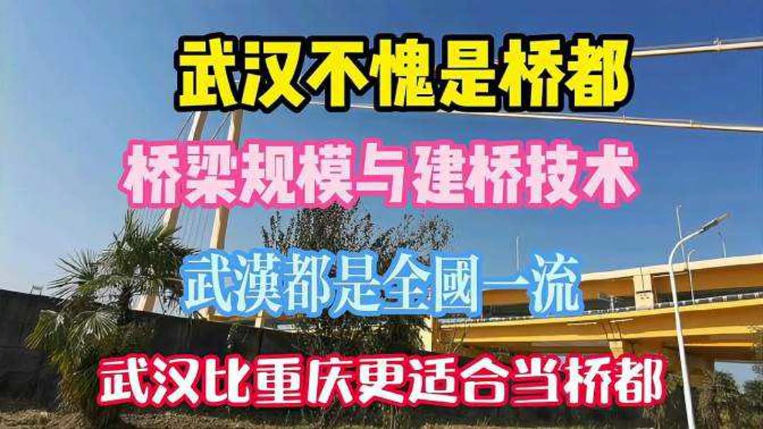 武汉桥梁多,规模大,建桥技术世界一流,比重庆更适合做桥都