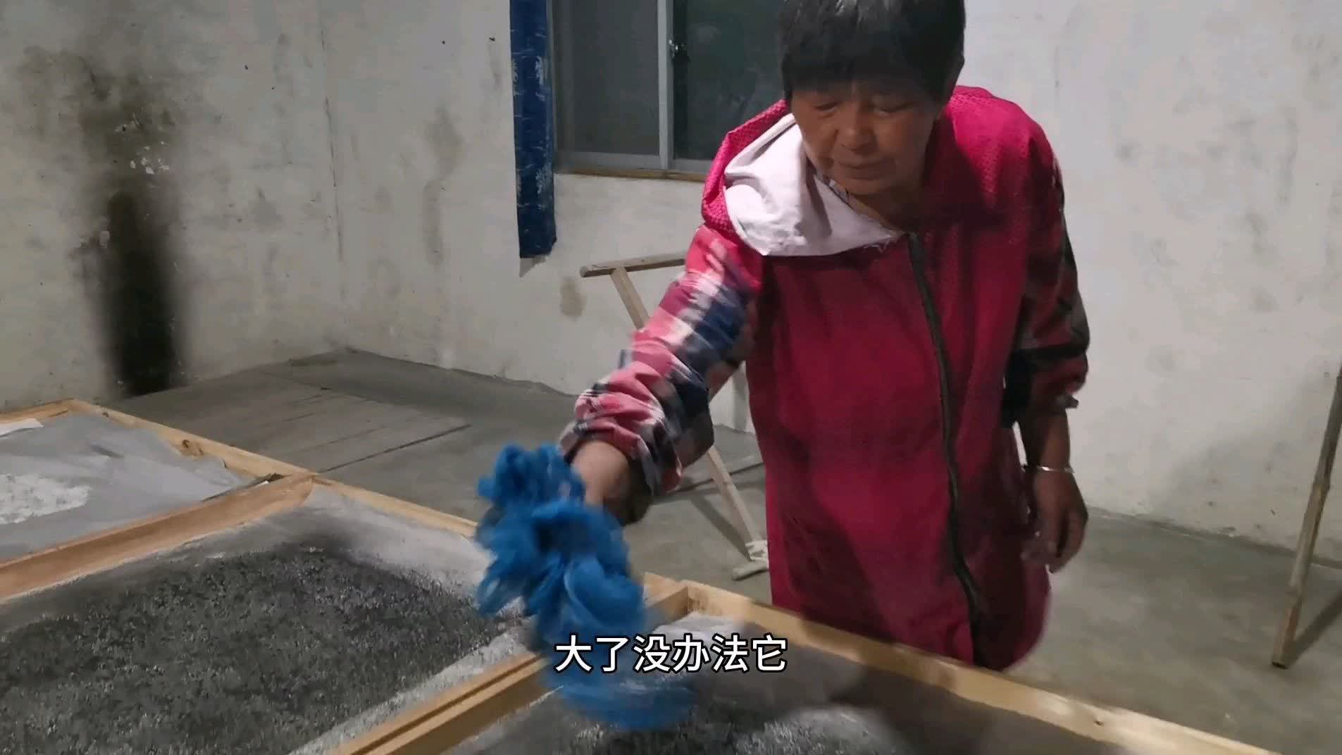 妈妈教小朱怎么养好蚕,从小防起,大了就没办法了