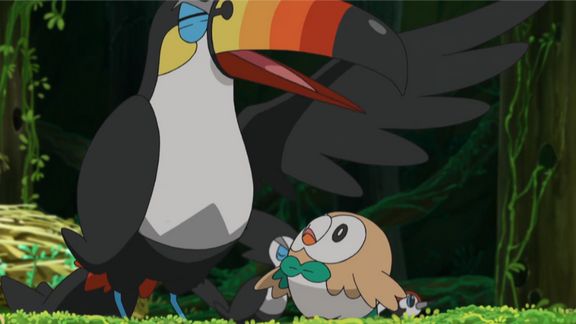 宝可梦:木木枭的未来有着落了,跟随着小智吧,肯定有更好的未来