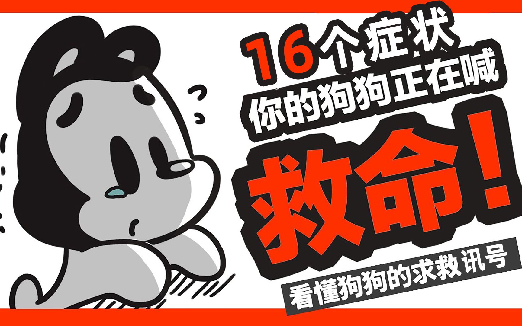 16个症状,看懂狗狗的身体警讯