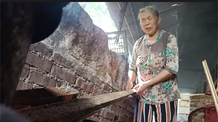 开放式厨房通风太良好,独居大娘说烟子大蚁子多