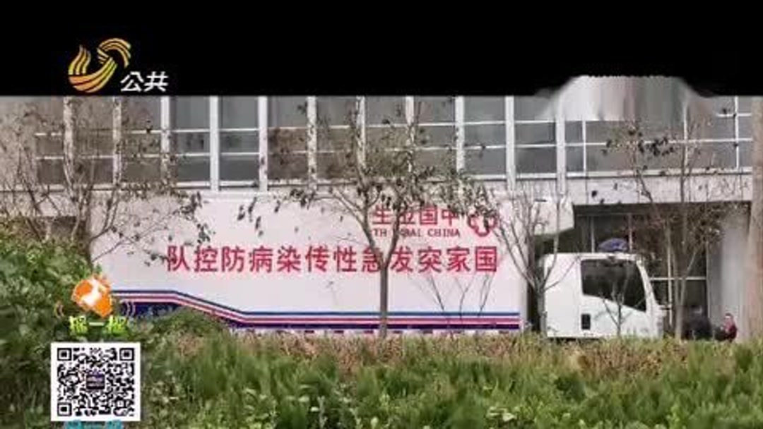 济南:又见藏獒伤人! 男子五年间被咬伤两次