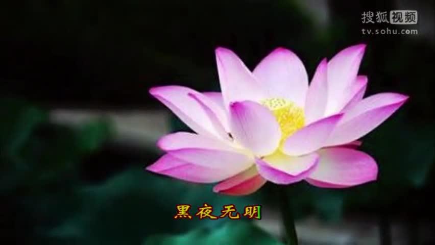 大悲咒 佛教音乐歌曲视频大全《吉祥莲花》佛经歌曲全文梵唱念诵