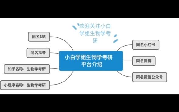 生物信息学完整版考研择校指南