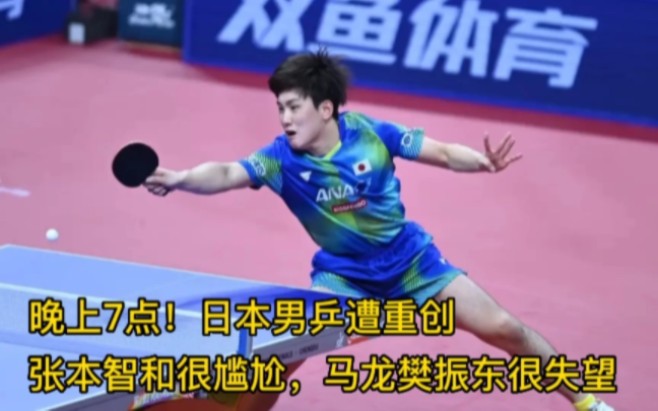 晚上7点!日本男乒遭重创,张本智和很尴尬,马龙樊振东很失望