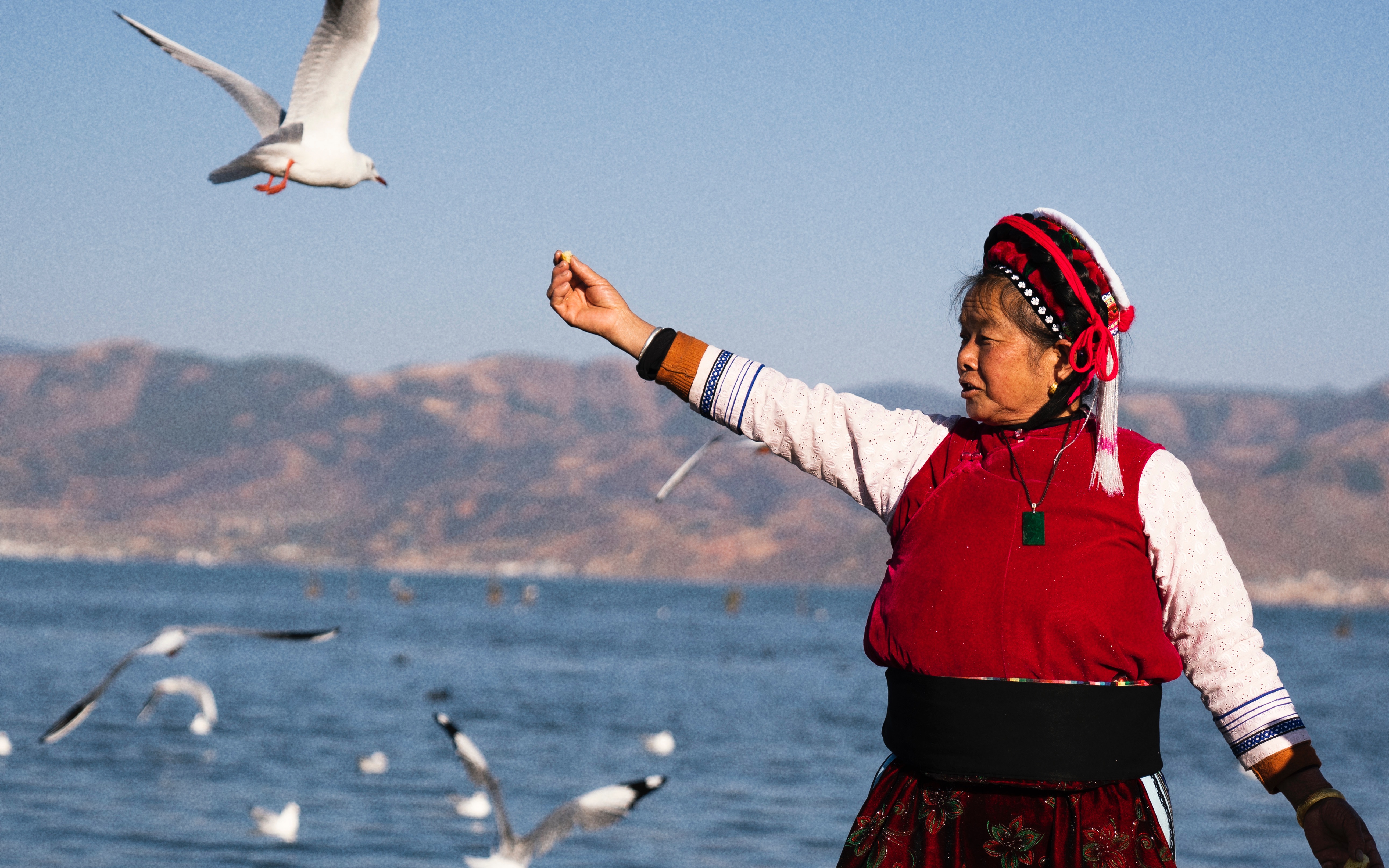 白族扎染-杜比视界