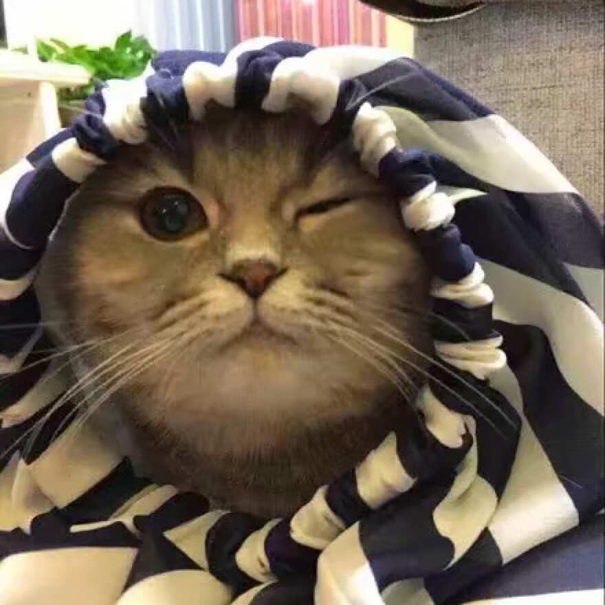 旧草居然被人注册了 