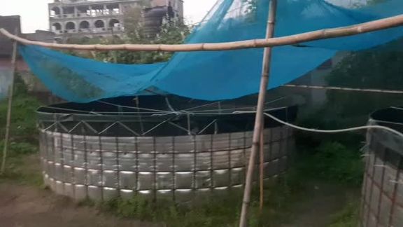 博取水质传感器助力孟加拉水产养殖业#水产养殖 #传感器#博取仪器