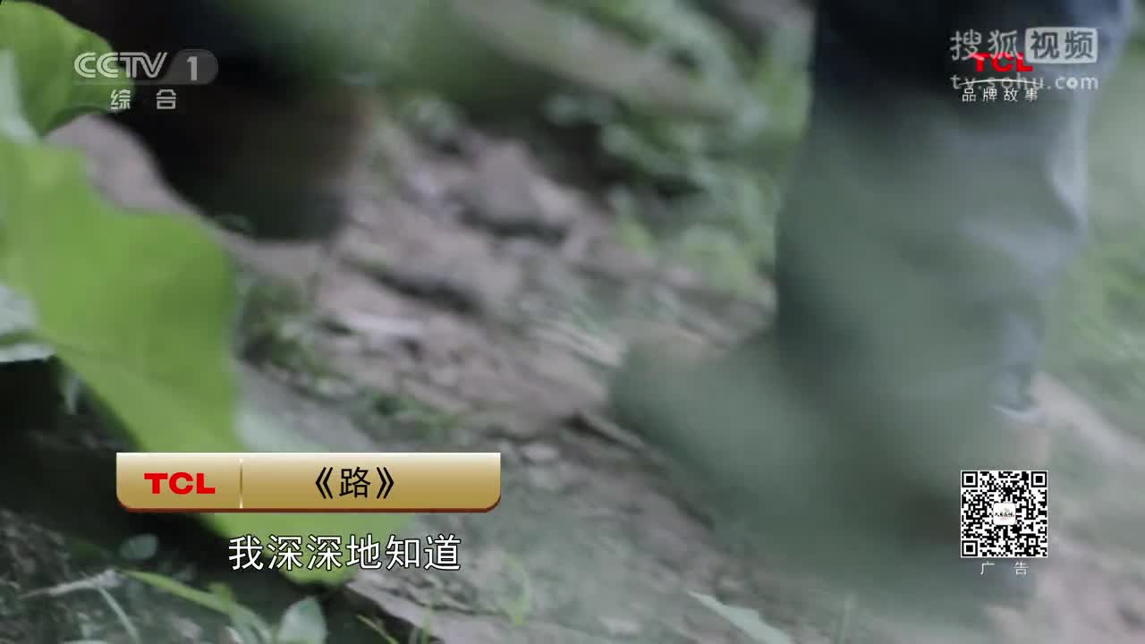 大国品牌养成记·TCL篇