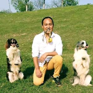 小伟训犬工作室 