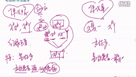 高考考点5.5-伴性遗传