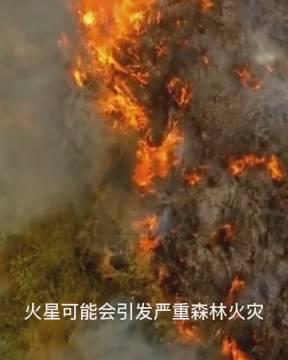 ...【清明祭祀 森林防火很重要】消防在此提醒大家:文明祭扫,安全用火...