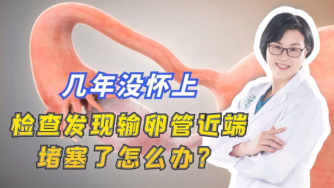 几年没怀上,检查发现输卵管近端堵塞了怎么办?生殖医生有话要说