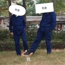 火焰蓝成成 