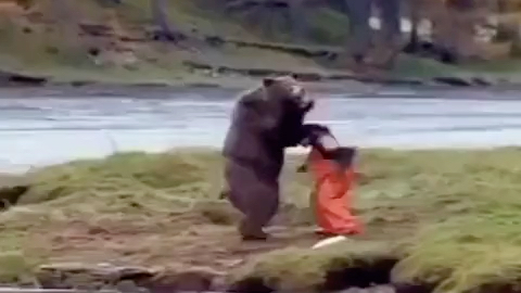 俄罗斯人日常与熊打斗