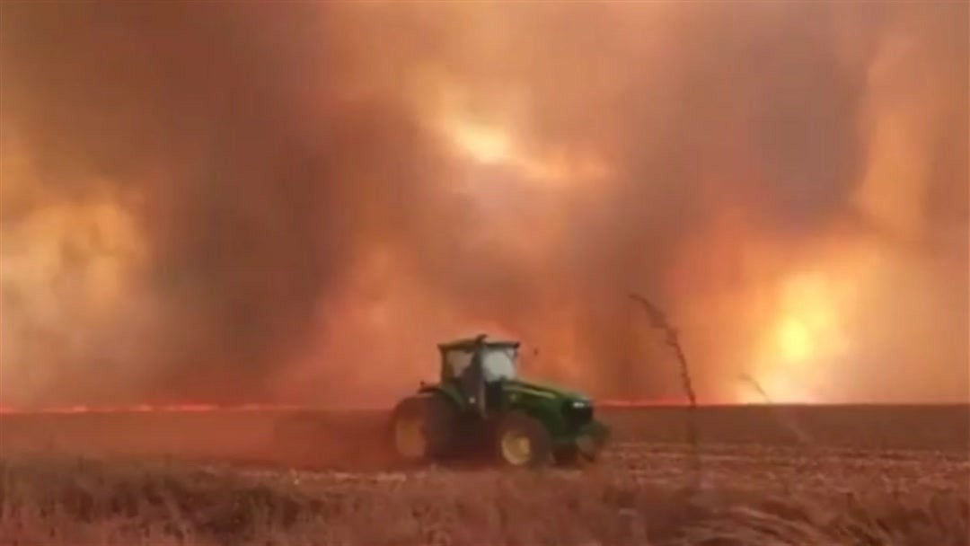 亚马逊森林大火持续燃烧 年初至今火灾次数已超过7.2万起