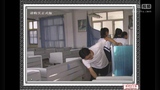 培养细菌真菌菌落的方法