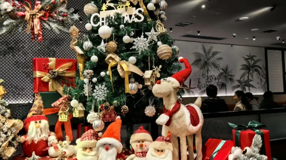 ...日本TSUBAKI椿本进口件,包括减速机,联轴器,齿轮箱,同步带,润滑油刷...