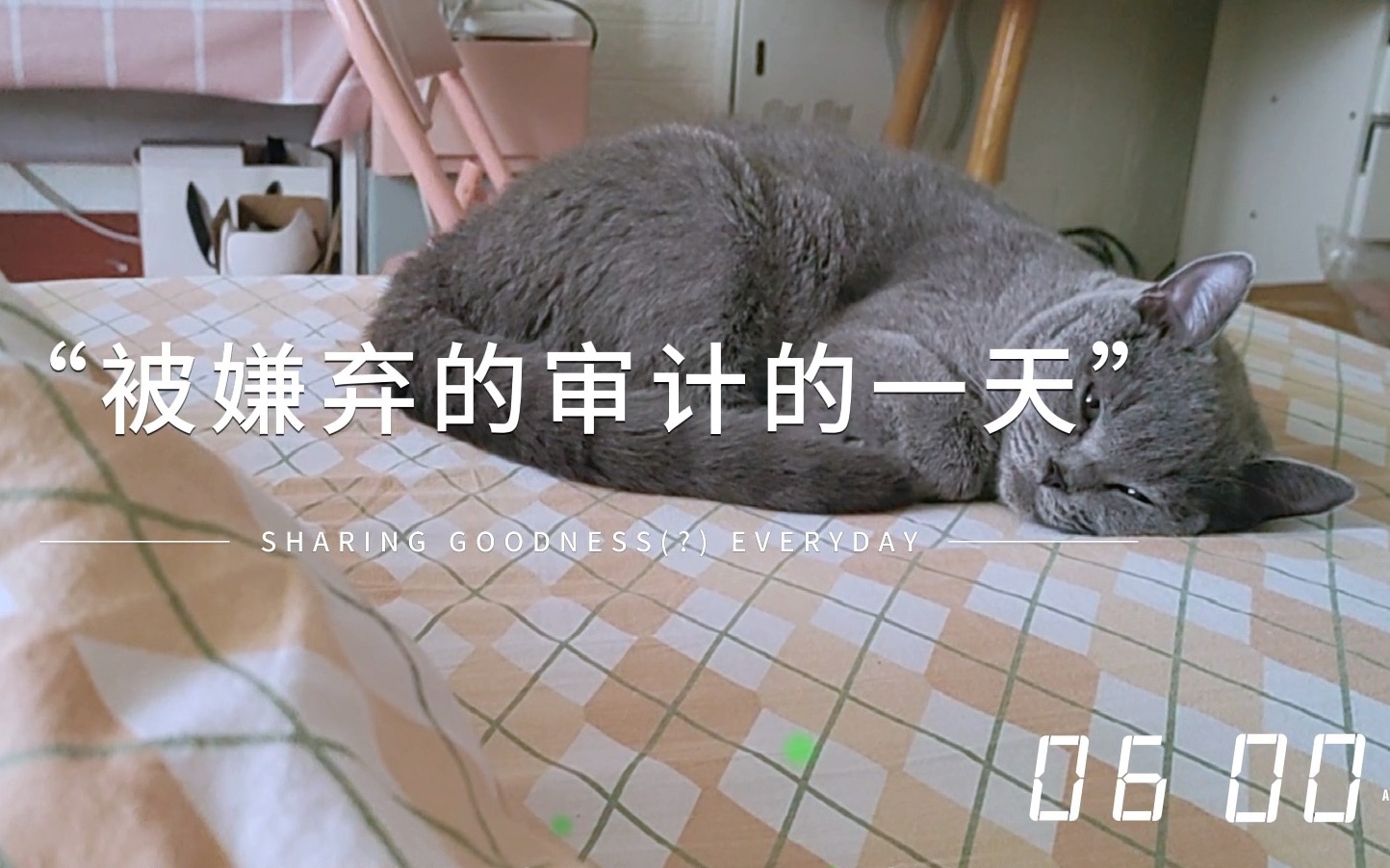 被嫌弃的审计的一天