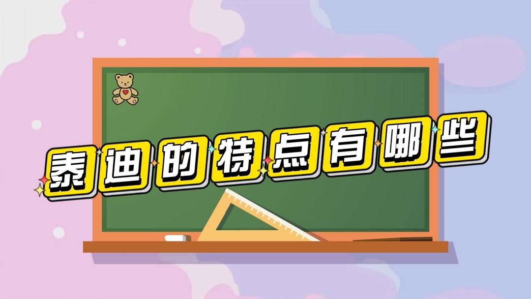 泰迪有哪些特点?