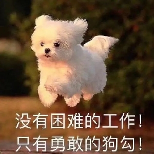 甘泽遥的游戏日常 