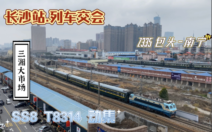 【长沙站】【京广铁路】T8314 “动集”出站 交会 Z121 广铁长段 SS8