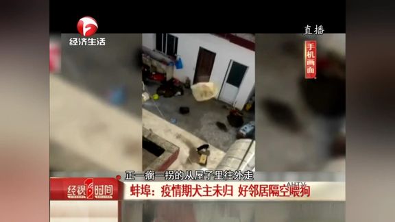 蚌埠:疫情期间犬主未归,好邻居高空抛食物帮喂狗